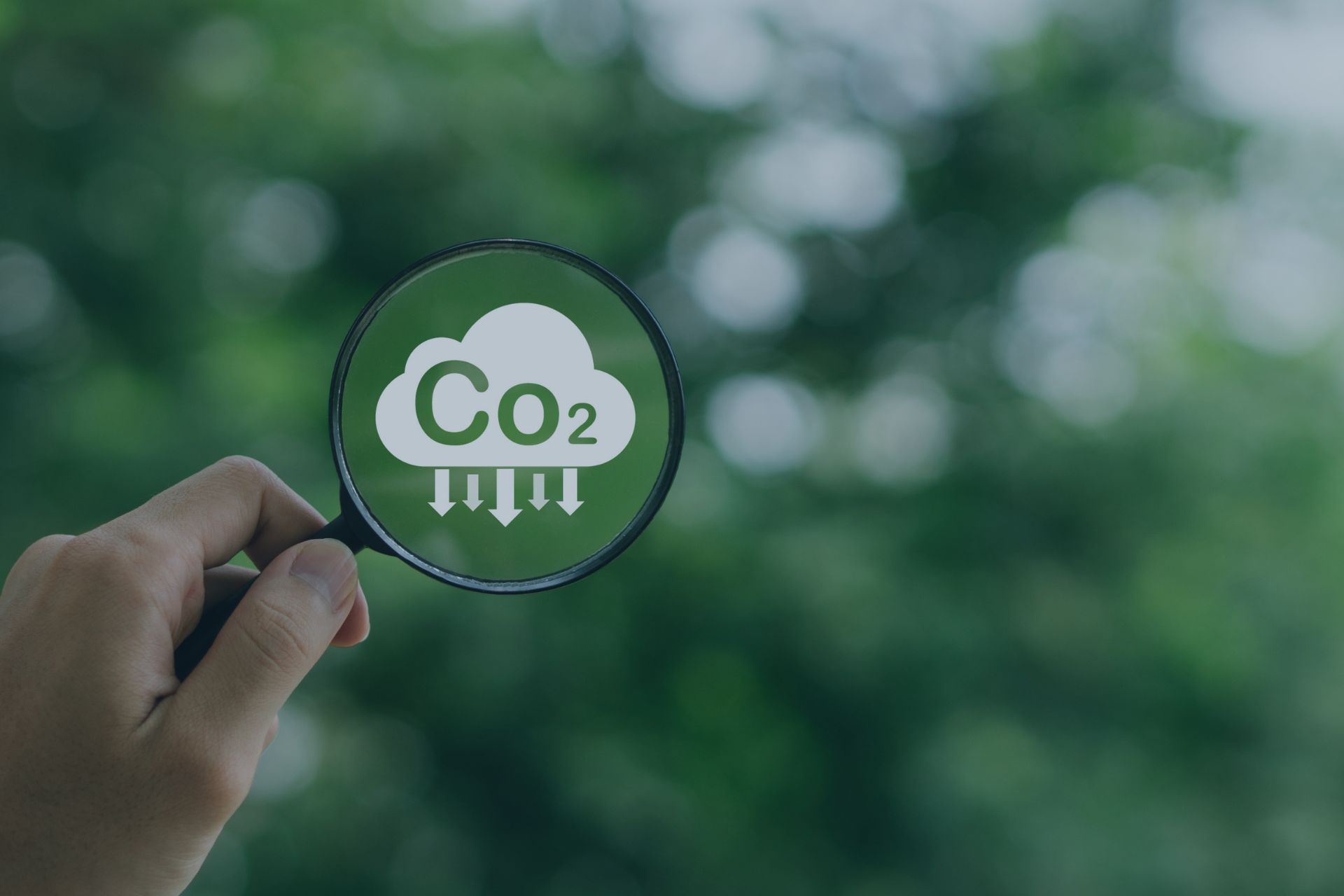 The Importance Of Solar Energy In Reducing Carbon Footprint the-importance-of-solar-energy-in-reducing-carbon-footprint